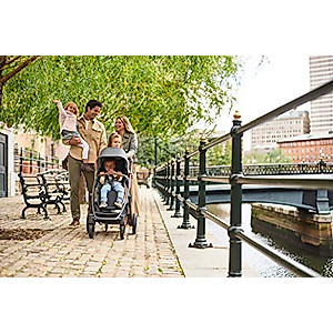 Vista V2 Stroller - Greyson (Charcoal Melange/Carbon/Saddle Leather)