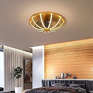 SEYFI Fanps, Metal Ceiling Fan with Lighting Modern Bright Dimmable Led Ceiling Light with Remote Control Q-Uiet Fan 64W Ceiling Light/D