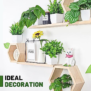 Der Rose 6 Packs Fake Plants Small Artificial Plants for Home Office Desk Bathroom Aesthetic Farmhouse Room Decor Indoor