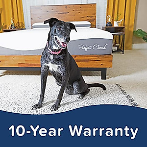 Perfect Cloud Made in The USA UltraPlush Charcoal-Infused 10-inch Memory Foam Mattress - Bed-in-a-Box (Full)