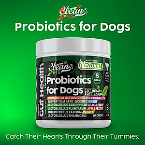 Gut Health Probiotics for Dogs with Pumpkin, Colostrum, Digestive Enzymes, Ginger, Slippery Elm, Licorice, Inulin Fiber & More | Beef Flavor Soft Chews Digestion Dog Supplement by Clean Pets