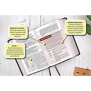 NIV, Life Application Study Bible, Third Edition, Large Print, Bonded Leather, Brown, Red Letter, Thumb Indexed