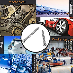 800pcs M2 Cross Drive Pan Head Self-Tapping Screws Woodworking Fastener with Box