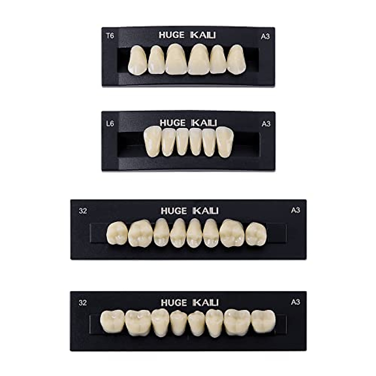 Dental Acrylic Resin Denture False Teeth A3, T6 Synthetic Polymer Resin Fake Teeth for Replacement, Halloween, DIY (28 Pcs/Set)