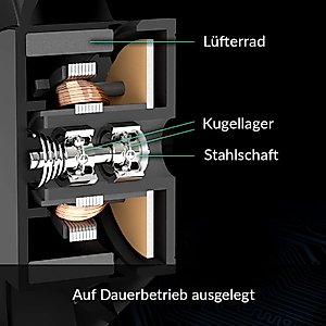 ARCTIC F8 PWM PST CO - 80 mm Case Fan with PWM Sharing Technology (PST), Dual Ball Bearing for Continuous Operation, Computer, Fan Speed: 300–2000 RPM - Black