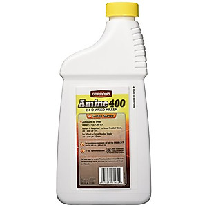 GORDON'S Amine 400 2,4-D Weed Killer, 1 Quart - 8141082