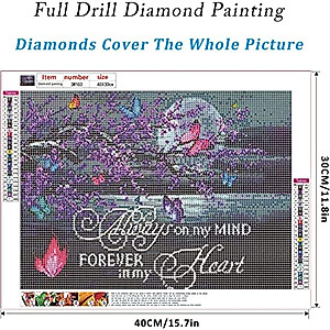 LFMU DIY 5D Diamond Painting Kits for Adults and Children, Full Round Drill Diamond Art Moon Butterfly Embroidery Diamond Painting, Used for Home Wall Decoration Gifts (12x16inch)