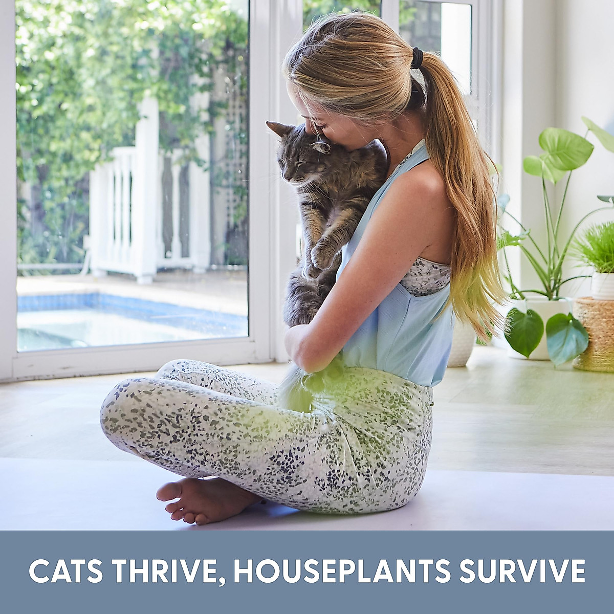 The Cat Ladies Cat Grass Growing kit with Organic Cat Grass Seed, Soil and Two Ceramic Planters with Bamboo Trays Natural Hairball Remedy