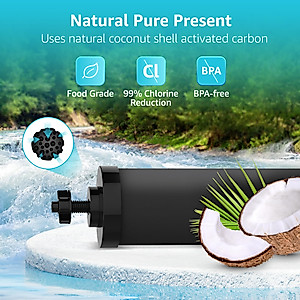 AQUACREST NSF/ANSI 42&372 Certified Water Filter, Replacement for Berkey® Gravity Water Filter System, Berkey® Black Purification Elements, Pack of 2