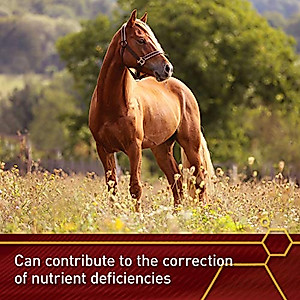 Vita Flex Pro E and Horse Selenium Supplement, Balanced Essential Antioxidants, 20 Pound, 320-Day Supply