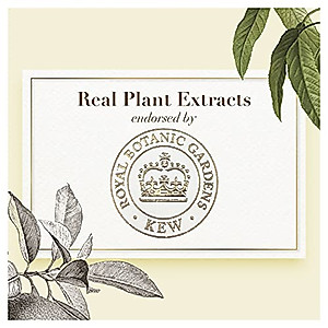 Herbal Essences Bio: Renew White Grapefruit & Mosa Mint Conditioner, 4 Count