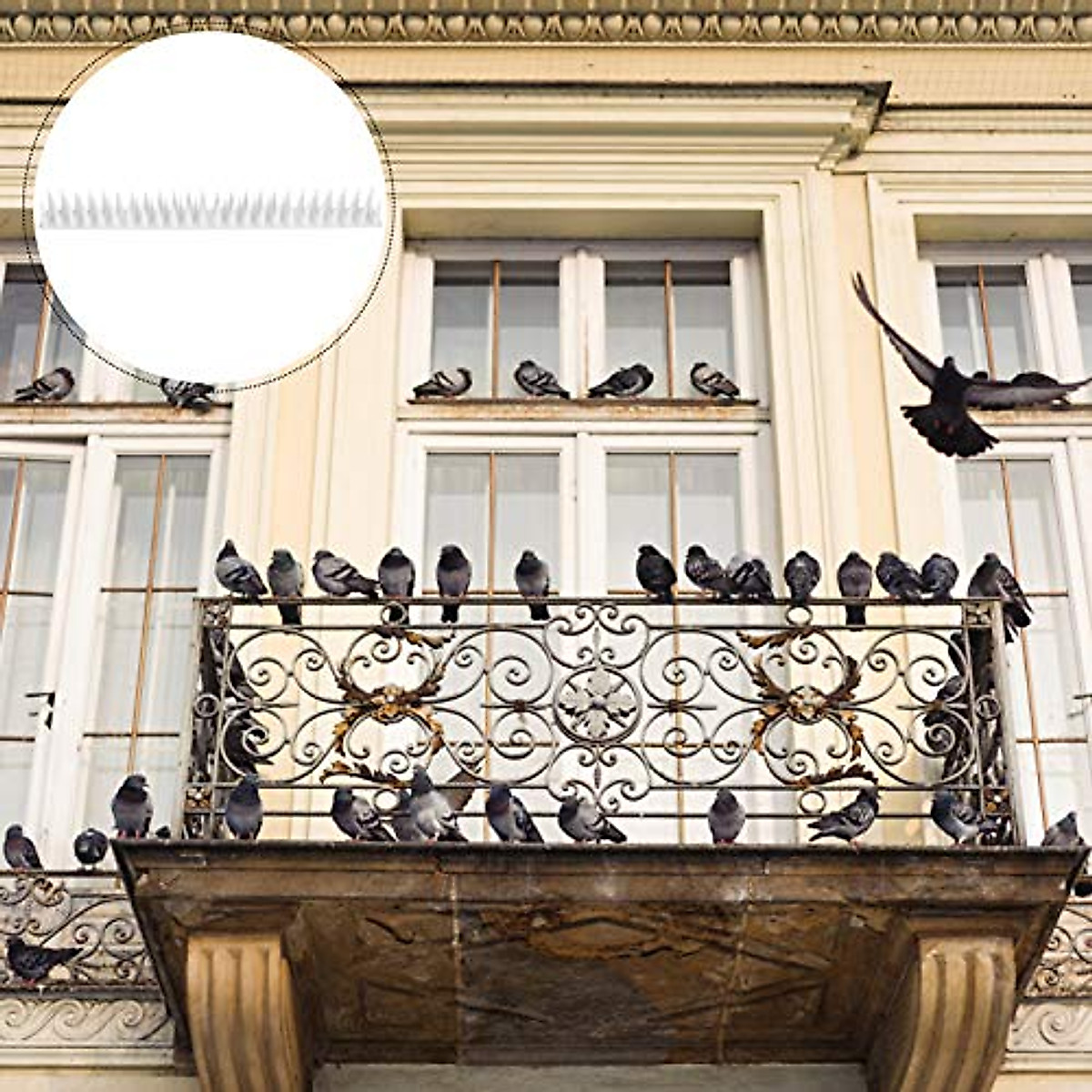 Happyyami 20 pcs Fence Wall Spikes Anti Climb Fence Wall Spikes Burglars Garden Security Anti Climb cat/Intruder Deterrent