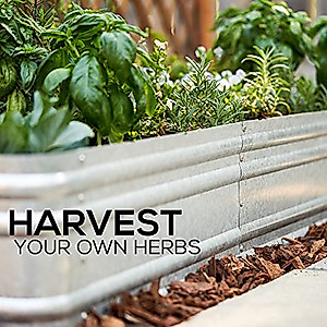 KIBAGA Premium Raised Garden Bed for Outdoors - Sturdy and Easy to Assemble Galvanized Steel Planter Box - Versatile Metal Planter is Perfect to Grow Your Beautiful Herbs, Vegetables and Flowers