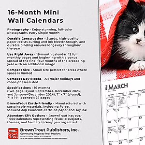 For the Love of Kittens | 2024 7 x 14 Inch Monthly Mini Wall Calendar | BrownTrout | Animals Cats Feline