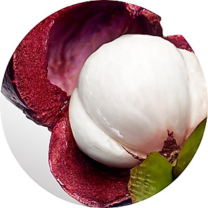 Davidoff Cool Water Eau de Toilette for Women, 1.6 fl oz.