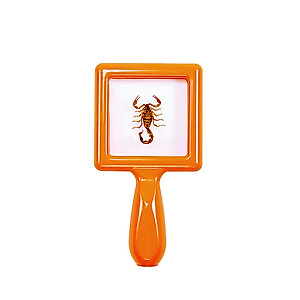 Environments Toddler Specimen Viewers Set of 4 (Item # SPECISEE)