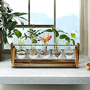 CFMOUR Plant Terrarium with Wooden Stand, Desktop Propagation Stations Glass Air Planter Metal Swivel Holder for Indoor Live Hydroponics Plants Office Home Garden Decor (5 Bulb Vase)