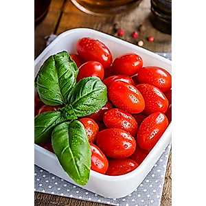 Set of 35 Premium Variety Herbs and Vegetables - Deluxe Garden Choices for Premium Gardening! (35 Liberty Garden Premium Vegetable)