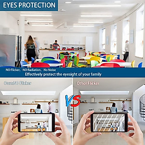 JESLED Dimmable T8 LED Type B Light Bulbs 4 Foot, 3120+Lumens, 5000K Daylight White, 24W (65W Equivalent), 4FT Fluorescent Tube Replacement, Ballast Bypass, Dual Ended Power, Frosted, 4-Pack