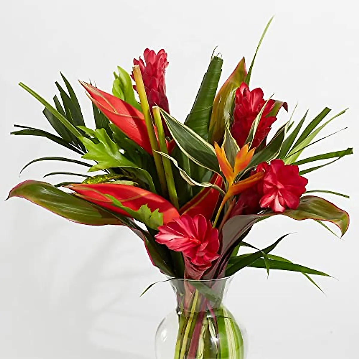 BloomsyBox - Tropical Bouquet Treasure with Bright Heliconias, Pink Ginger and Tropical Greenery (Fresh Cut Flowers)