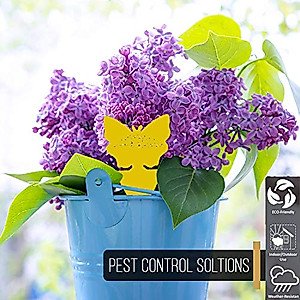 UCatch Gnat Sticky Traps for Plants - Effective Gnat Traps for House Indoor and Outdoor Garden with Super Sticky Adhesive | Yellow Fruit Fly Trap for Mosquitos, Black Flies, Fungus Gnats | Pack of 14