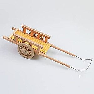 YANQIN Parrot Toy Bird Intelligence Skill Training Slide Toy Parrot Educational Toys for Conures Parakeets Cockatiels