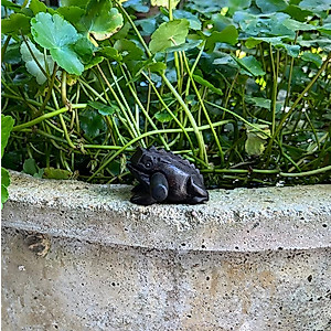 Classic Handmade Percussion Instruments Wooden Frog 2.3-2.5 Inch Wooden Frog Musical Instrument Home Decor (Black Color)