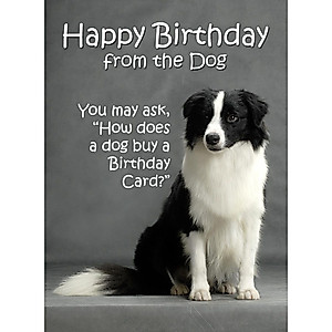 CafePress Border Collie Birthday Card Folded Greeting Card Glossy