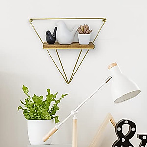 MyGift Wall Mounted Burnt Wood Floating Shelf with Brass Metal Rectangular Frame, Decorative Hanging Display Wall Decor