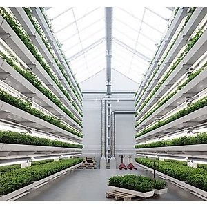 Sierra Natural Science Systemic Pest Control Concentrate -1 Pint