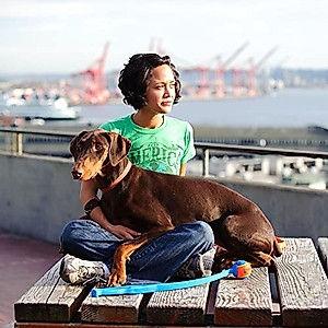 ChuckIt! Junior 18M Dog Ball Launcher, 18" Length, Includes Medium Ball (2.5") For Dogs 20-60 Pounds