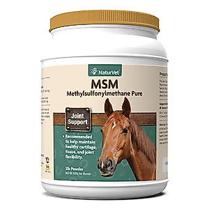 NaturVet MSM Methylsulfonylmethane Pure Joint Support Supplement for Horses, Powder, Made in The USA with Globally Source Ingredients 2 Pounds