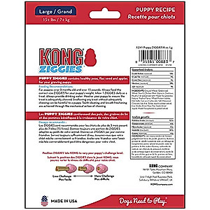 KONG - Puppy and Ziggies - Puppy Toys for Teething with Treats (Colors May Vary) - for Large Puppies
