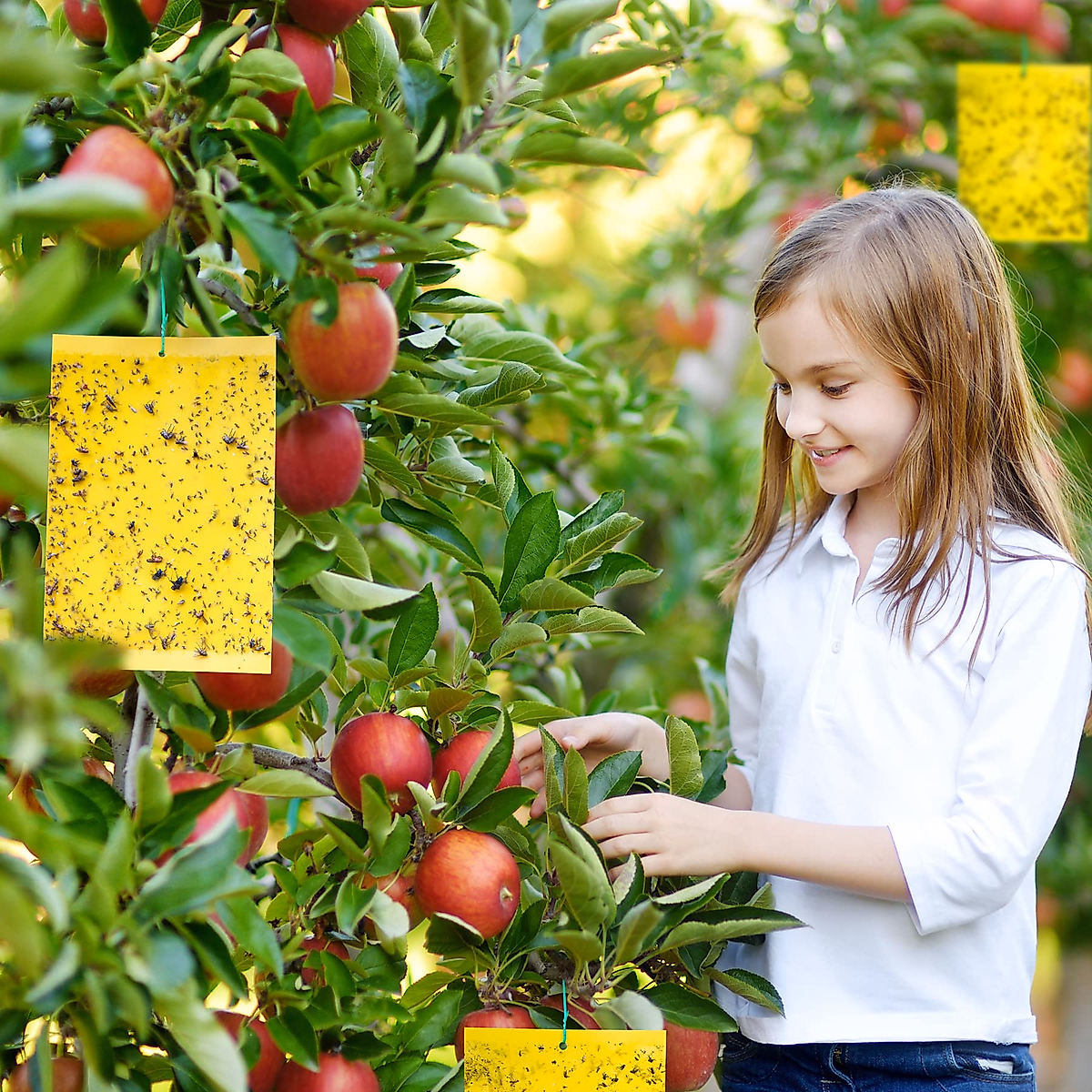 PESTCON 10PCS Yellow Sticky Traps for Plants Fungus Gnats Sticky Traps for Indoor or Outdoor Hanging Fruit Fly Traps for Catching Mosquitoes Whiteflies Aphids Leafminers... Twist Ties Included