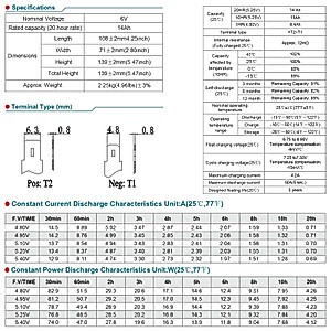 NPP NP6-14Ah 6V 14 Ah Rechargeable Sealed Lead Acid Battery for Parmak 901 & Magnum Solar Park & Teledyne B8-6 Emergency Lighting
