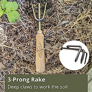 Classic 3 Piece Garden Hand Tool Set Made with Wooden Handle and Stainless Steel. Includes Large Trowel, Cultivator Hand rake, and Transplanter Trowel. Tools are Large and Heavy Duty. by Truly Garden