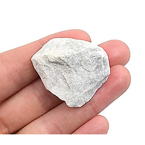 12PK Coarse White Marble, Metamorphic Rock Specimens - Approx. 1" - Geologist Selected & Hand Processed - Great for Science Classrooms - Class Pack - Eisco Labs