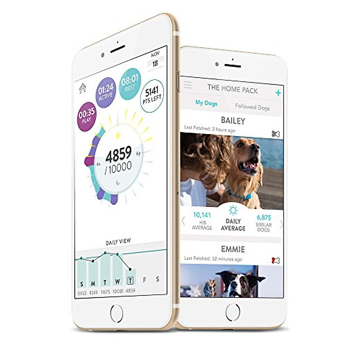 FitBark 2 Dog Activity Monitor | Health & Fitness Tracker for Dogs | Waterproof, Small & Leightweight (10 g) | Not a GPS Tracker