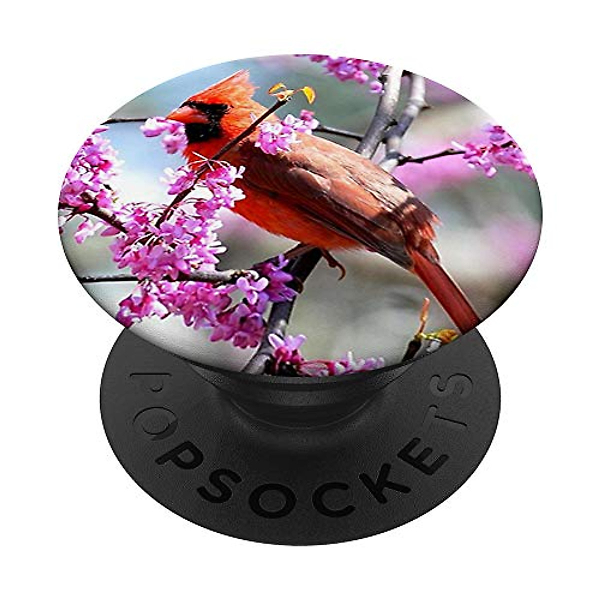 Cute Red Cardinal Bird Floral Design On Foliage Background PopSockets Swappable PopGrip