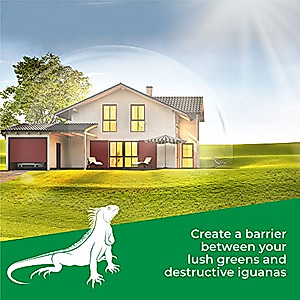 Vinevida Iguana Repellent for Outdoors Indoors (32 fl oz) Natural Instant Action Spray, Pleasant Scent, Safe for Kids and Pets