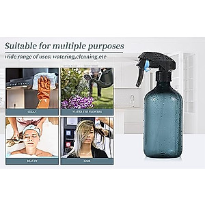 Yebeauty Plant Mister Spray Bottle, 2Pcs 17oz 500ml Fine Mist Plant Atomizer Watering Sprayer Bottle for Gardening Cleaning Solution with Top Pump Trigger Water, Clear Blue