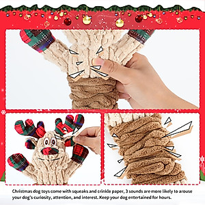 BWOGUE Thanksgiving Turkey Dog Toy, Durable Squeaky Plush Dog Toys, Stuffed Dog Chew Toys Thanksgiving Interactive Pet Toys for Puppy Small Medium Dogs