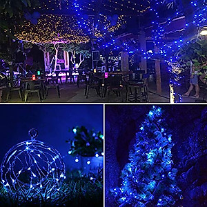 ER CHEN Dimmable LED String Lights Plug in, 100ft 300 LED Waterproof Fairy Lights with Remote, Indoor/Outdoor Copper Wire Christmas Lights for Bedroom, Patio, Garden, Yard (Green Wire, Blue)