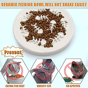 Slow Feeder Cat Bowl,Cat Puzzle Feeder Ceramic Dish with Fish Bone Design,Fun Interactive Slow Down The Eating Speed of Pets,Against Bloat,Indigestion