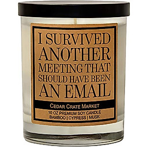 I Survived Another Meeting That Should Have Been An Email - Funny Candles Gift for Women, Men, Funny Gift for Coworkers, Boss, Friendship Gifts, Work from Home Gift, Boss Lady Gifts for Women, Besties
