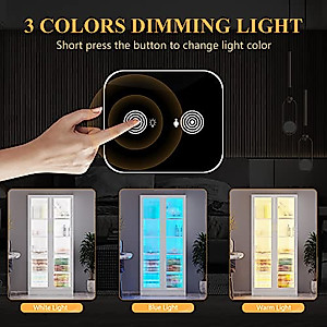 Dystler White Storage Cabinets Locker with 3 Color LED Lights,Modern Storage with Human Body Sensor Functionwardrobe Closet for Bedroom