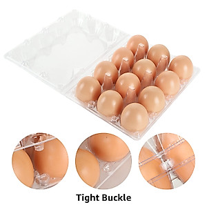 SENENQU 40 Pack Egg Cartons Cheap Bulk, 1 Dozen Clear Egg Cartons, Plastic Egg Carton Bulk Chicken Egg Tray Holder Egg Tray for Family Pasture Farm Market (3×4 Grids, 12 Eggs)