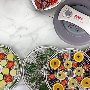 Nesco FD-61 Snackmaster Encore Food Dehydrator for Great Jerky and Snacks, 4 Trays, Gray