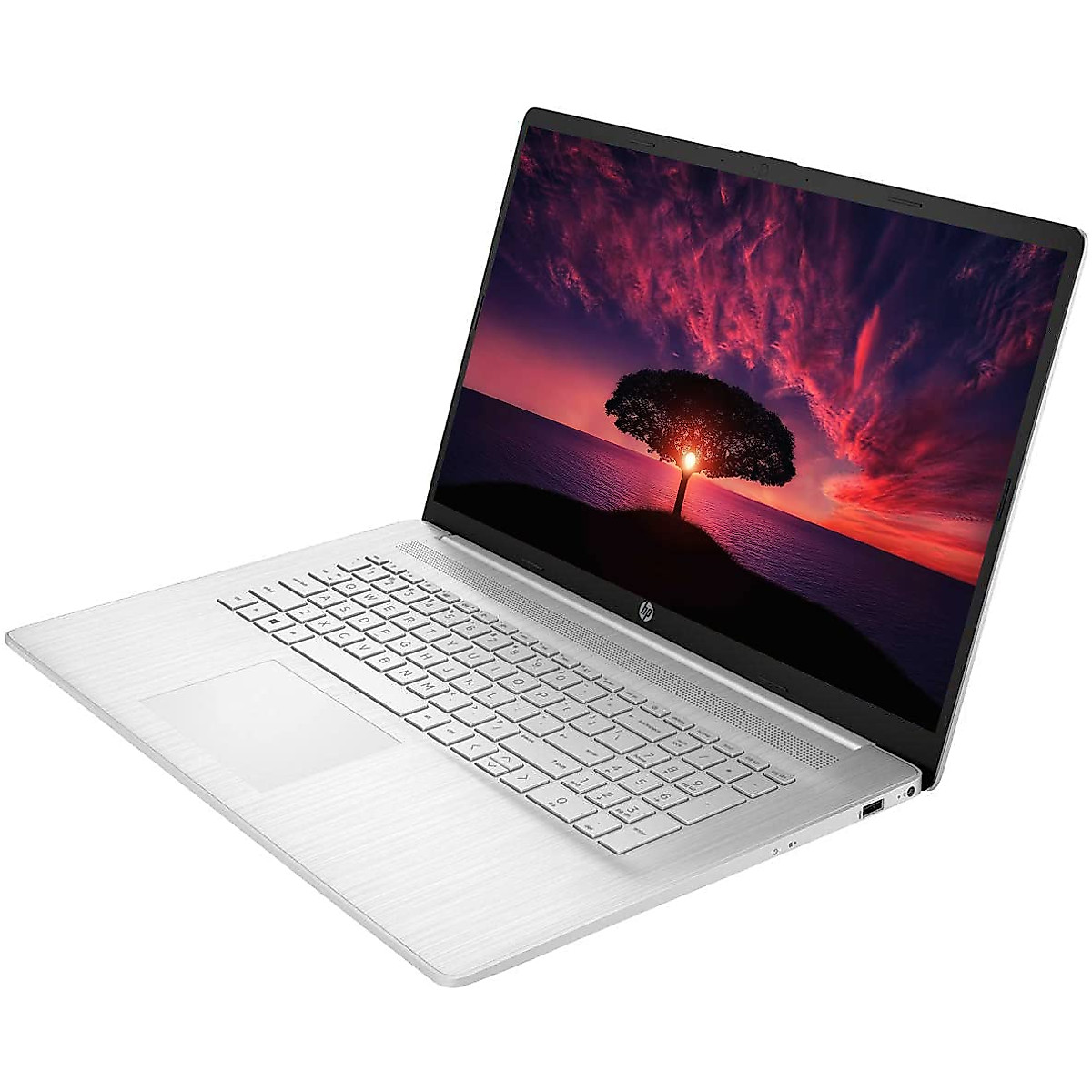 HP 17.3" HD Touchscreen Business Laptop, 12th Gen Intel Core i7-1255U, Windows 10 Pro, 16GB RAM, 1TB SSD, Backlit Keyboard, HDMI, WIFI 6, Webcam, Long Battery Life, Durlyfish