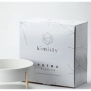 kimisty 10 Inch Large Round Succulent Planter Bowl with Gold Metal Plant Stand, White Ceramic Pot with Drainage, Succulent Garden Shallow Pot, Centerpiece Tabletop